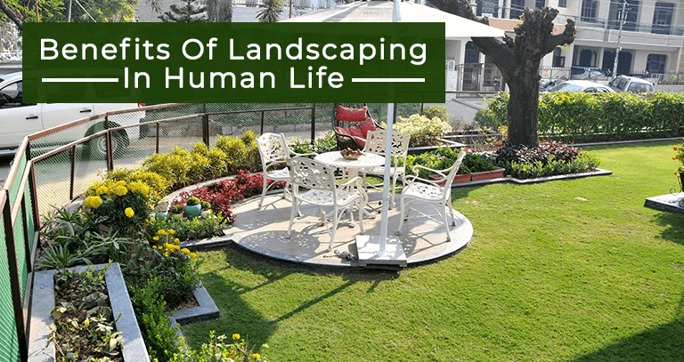 Benefits Of Landscaping In Human Life - Esthetic Planners